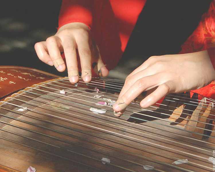 Alat Musik Chordophone: Gambar, Fungsi dan Jenisnya